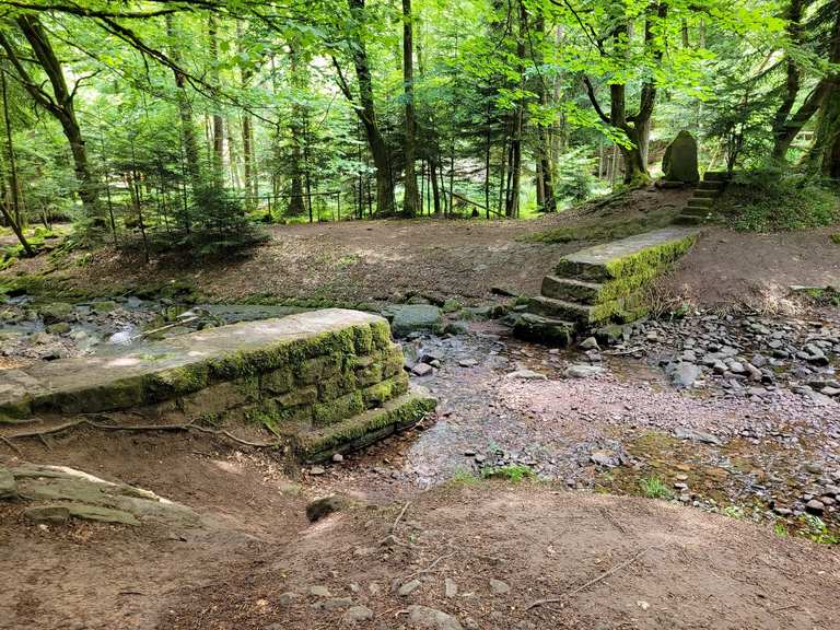 Durch das wildromantische Monbachtal - Wandern in Bad Liebenzell ...