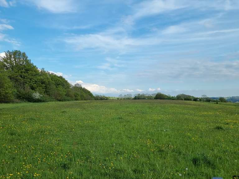 Riddlesdown Common - Mountain Bike Trails & Tracks | Komoot