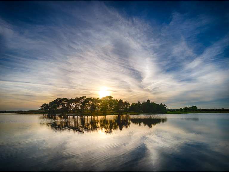 Brockenhurst loop — New Forest National Park | mountain bike ride | Komoot