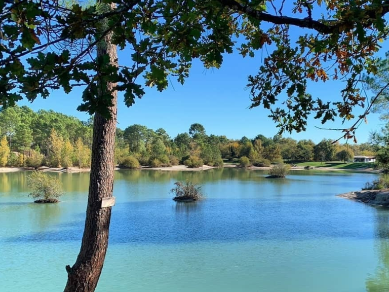 Entre le lac bleu et le lac vert de Léognan | wandeling | Komoot