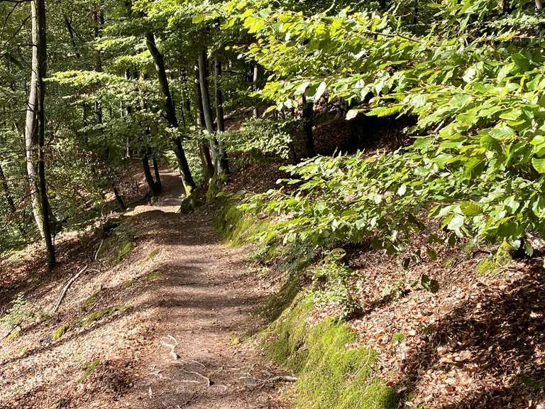 Teufelsschmiede – Teufelstisch Runde von Hinterweidenthal Ort ...
