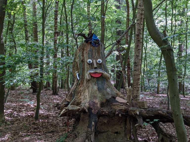 Waldgeist : Radtouren und Radwege | komoot