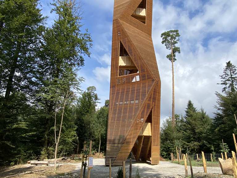 Hardwaldturm: Wanderungen und Rundwege | komoot