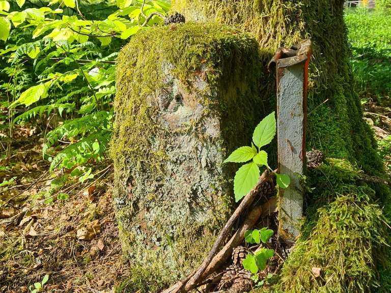 Rinnthal: Tal der Generationen: Wanderungen und Rundwege | komoot