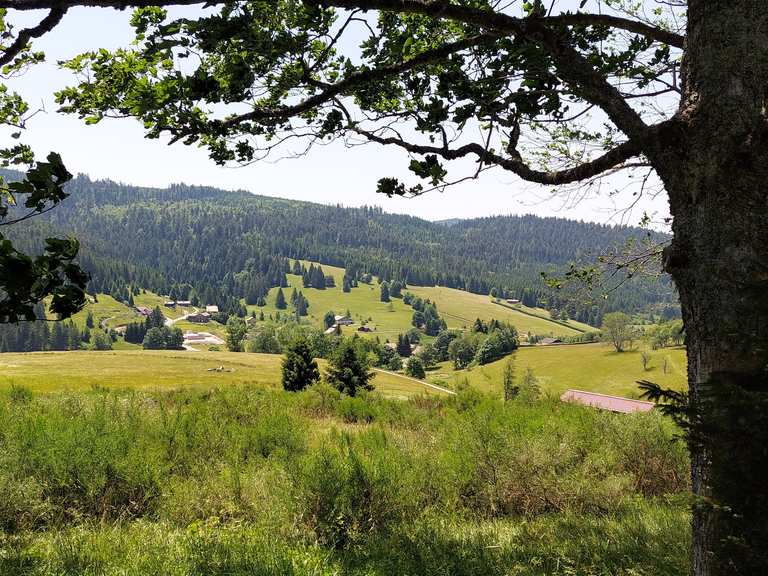 Col du Sifflet – Le Rocher du Valtin boucle au départ de Le Valtin ...