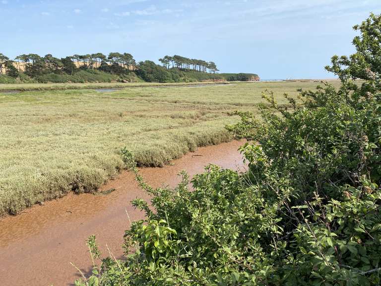 Otter Estuary Nature Reserve - Routes for Walking and Hiking | Komoot