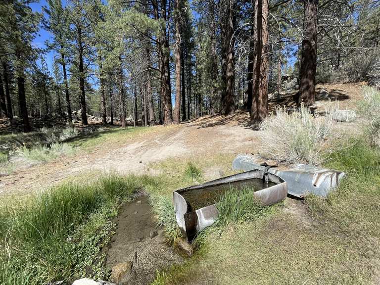 Circuito Pacific Crest Trail a partir do Landers Campground – Sequoia ...