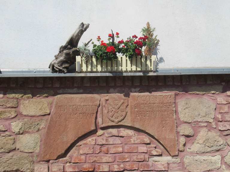 Jacob Stoll Haus: Wanderungen und Rundwege | komoot