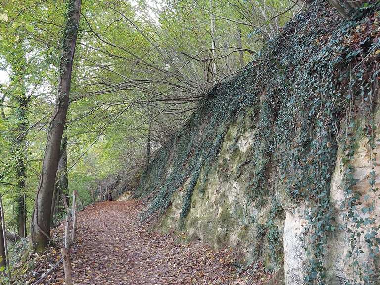 Mergelwand langs de Geul wandelroutes en hikes | Komoot