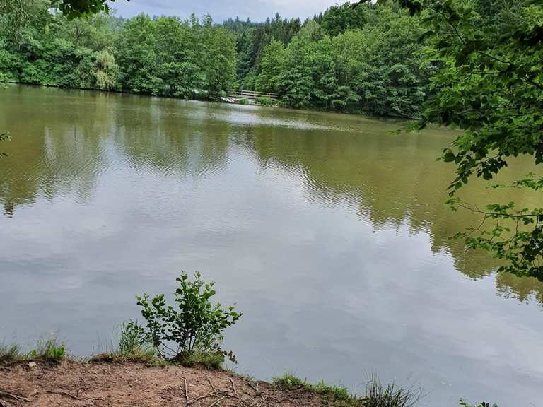 Steg im Herrenbachstausee : Radtouren und Radwege | komoot
