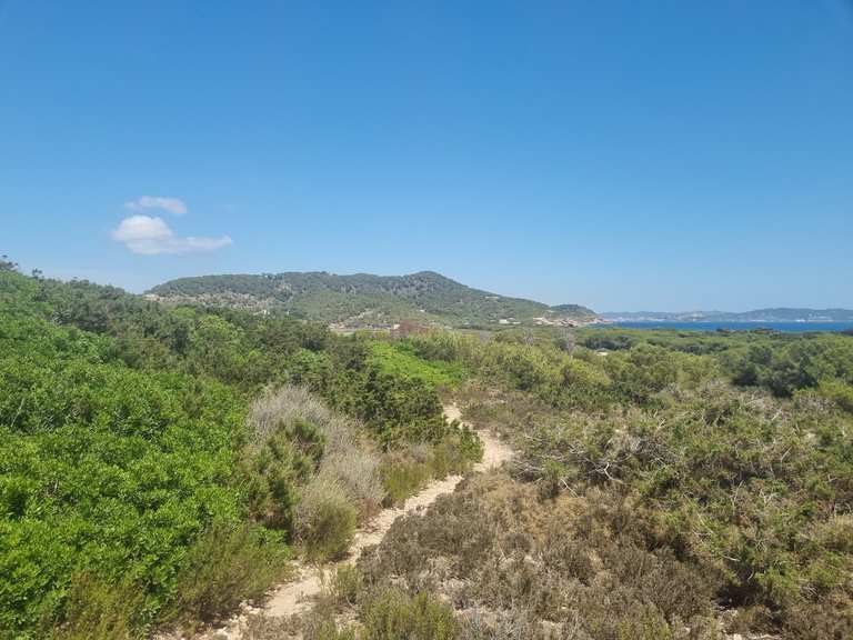 View of the Northern Tip of Formentera Routes for Walking and Hiking ...