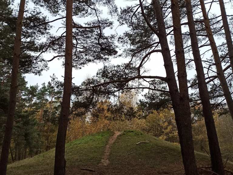 Hügelgrab Blocksberg: Wanderungen und Rundwege | komoot