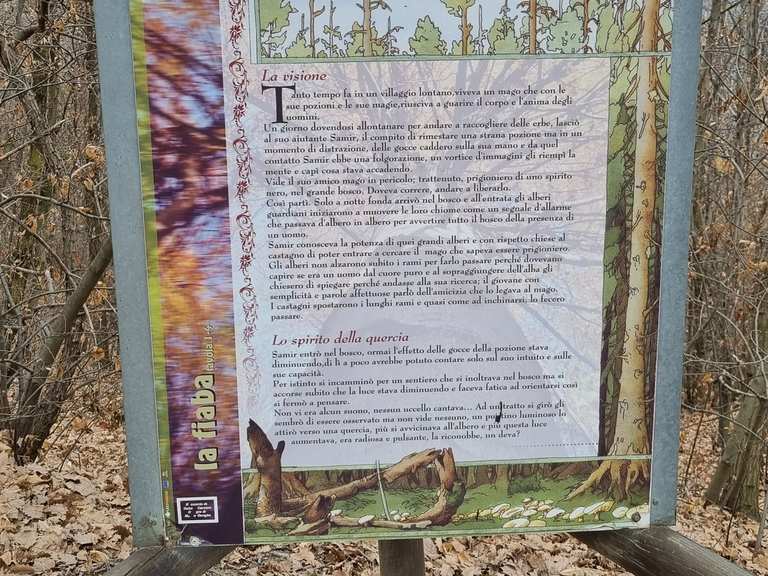 Sentier forestier de Castagneto Po à Tre Termini (via Sentier 109 ...