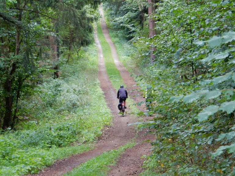Mountainbike-Trail: Hier wird es sehr schmal und wild. Lange Ärmel und ...