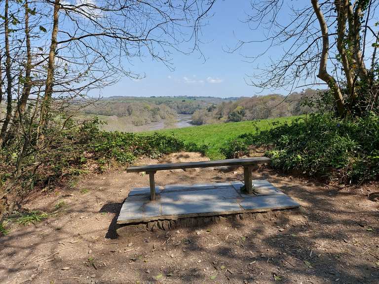 River Fal loop from Trelissick Mansion — Cornwall AONB | hike | Komoot