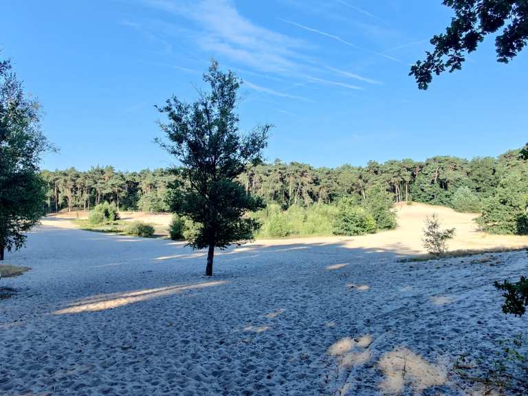 Vennetje het Heihuis wandelroutes en hikes | Komoot