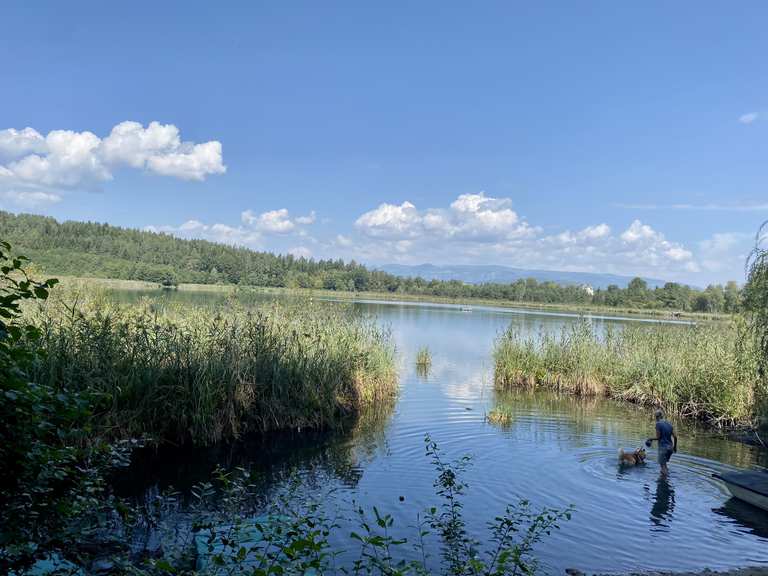 Der Kleinsee - Cycle Routes and Map | Komoot