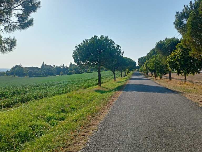 Domaine de Ribonnet: Rennradfahren und Rennradtouren | komoot