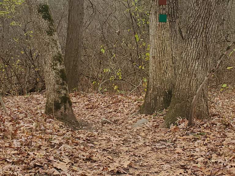 Emma Carlin Trails: Wanderungen und Rundwege | komoot