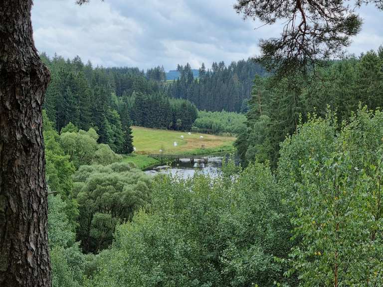 Rastplatz am Tannbach: Wanderungen und Rundwege | komoot