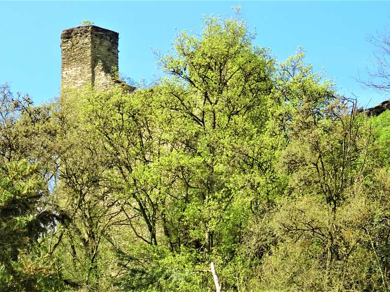 Burgruine Wallrabenstein: Mountainbike-Touren und -Trails | komoot