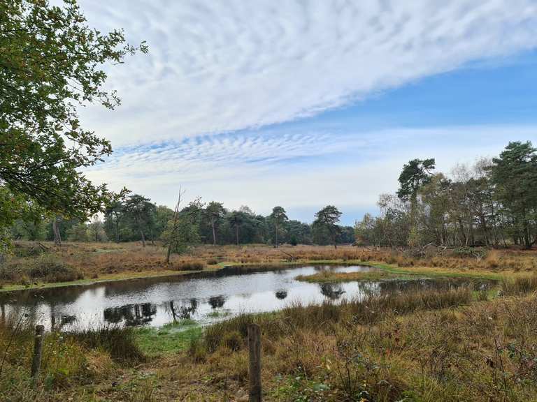 Rondje Meersel-Dreef: Wanderungen und Rundwege | komoot