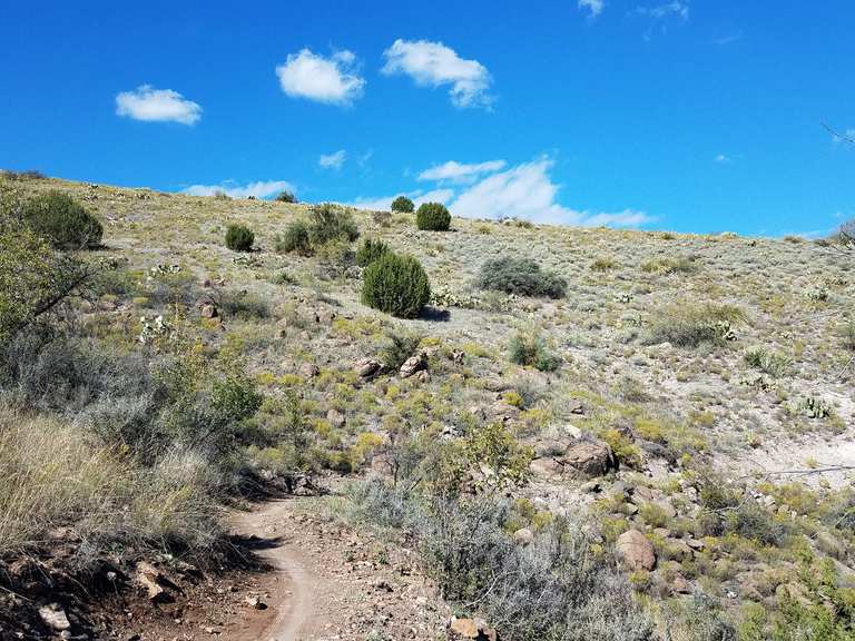 Blowout Canyon – trasy piesze | Komoot