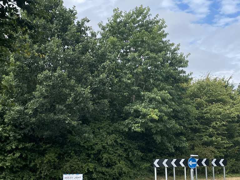 Horton County Park : Radtouren und Radwege | komoot