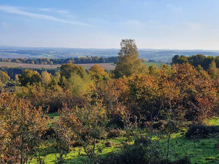 Kinver Edge Routes for Walking and Hiking | Komoot