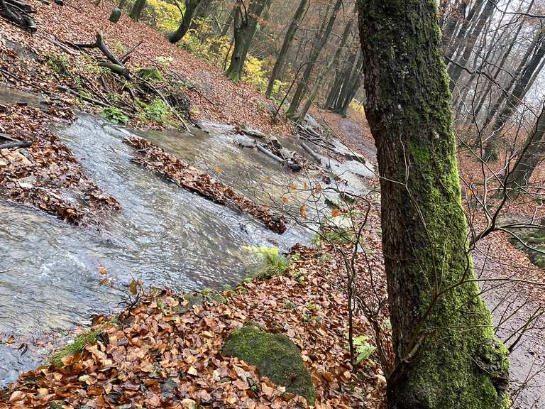Wanderweg direkt am Bach: Wanderungen und Rundwege | komoot