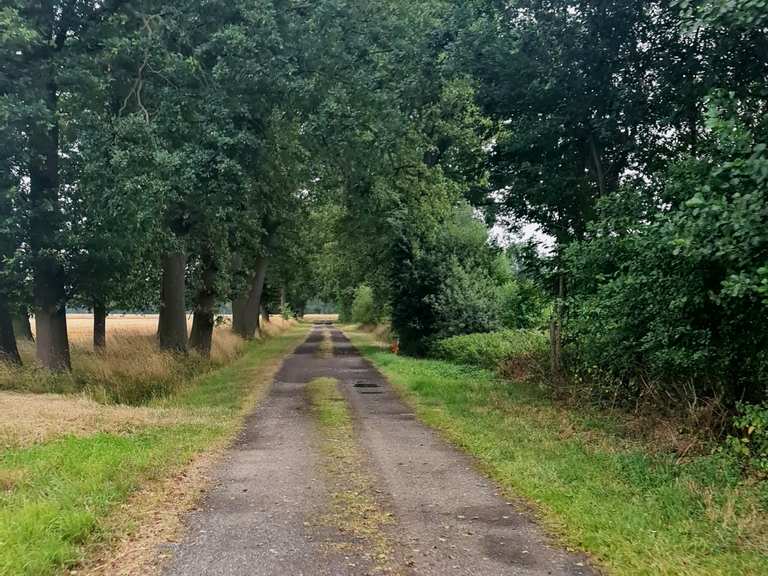 Max Clemens Kanal : Radtouren und Radwege | komoot