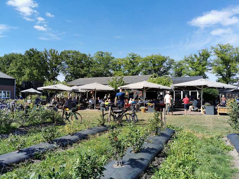 Blaubeer-Plantage Blankwater - Biergarten : Rutas de cicloturismo | Komoot