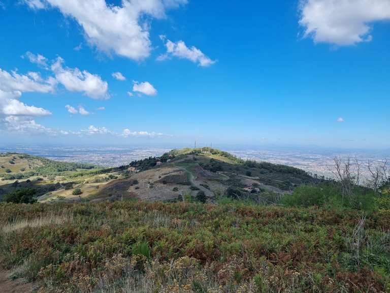Da Frascati a Monte Tuscolo e Monte Salomone | escursione | komoot