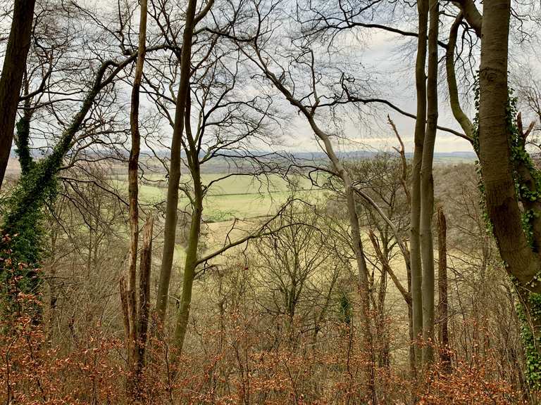 Sundon Hills Country Park Routes for Walking and Hiking | Komoot