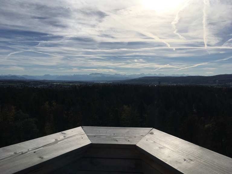 Hardwaldturm: Wanderungen und Rundwege | komoot