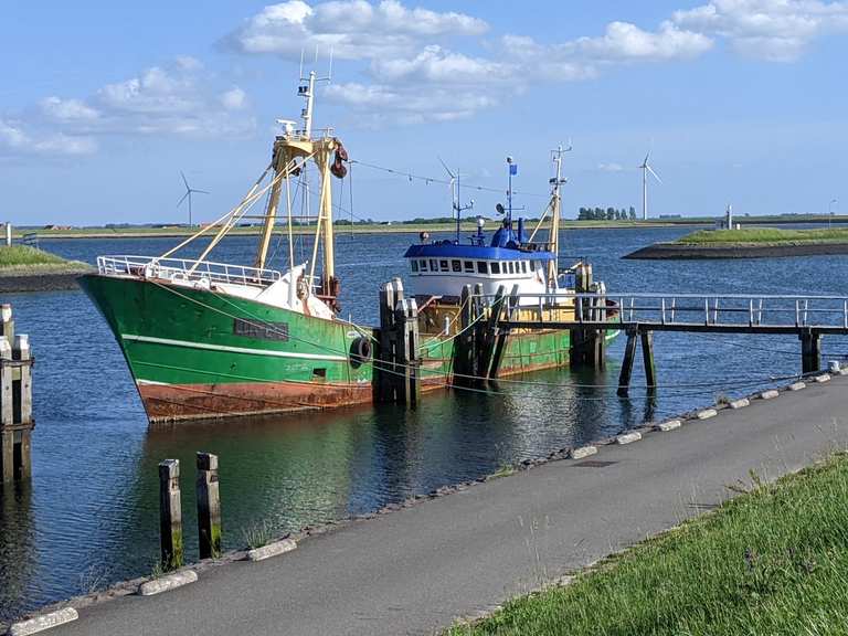 Bruinisse: Vluchthaven: Wanderungen und Rundwege | komoot