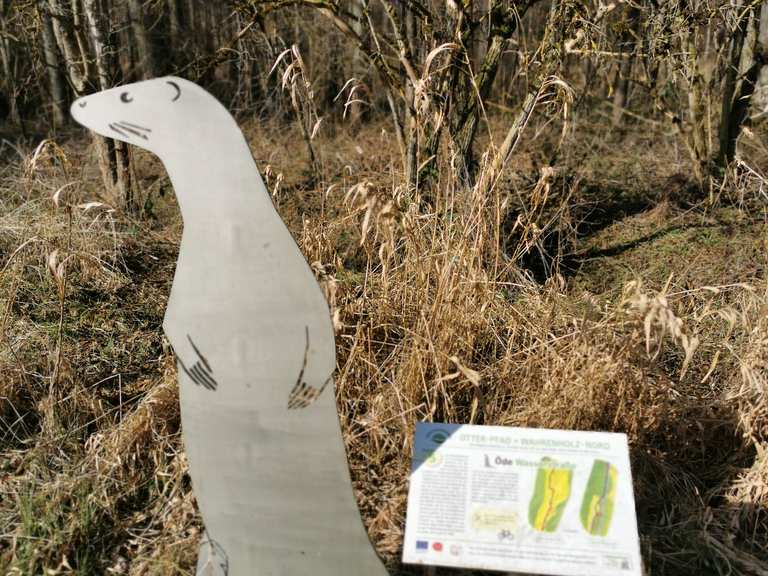 Otter Trail Station 5 – Barren Waterway – Hiking & Cycling Routes | Komoot