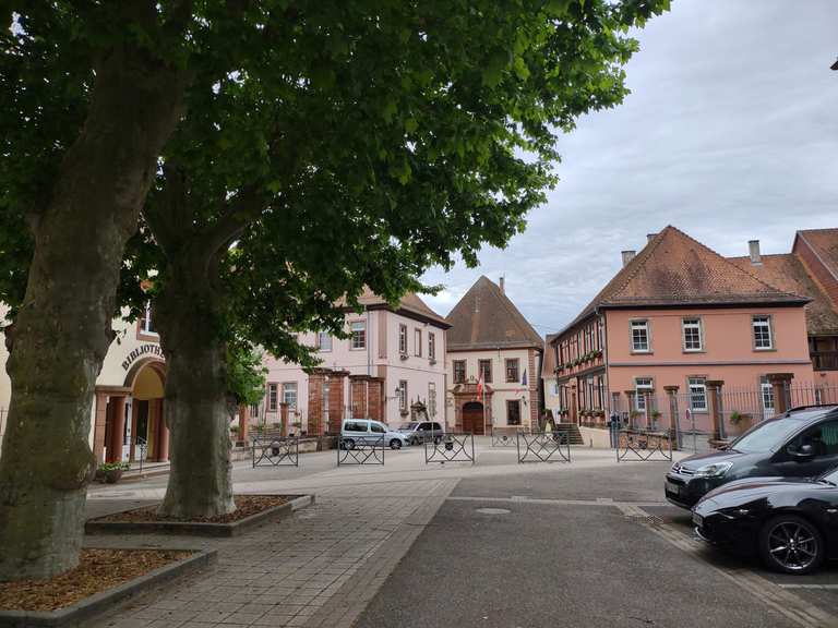 L`hotel de ville Lauterbourg: Wanderungen und Rundwege | komoot