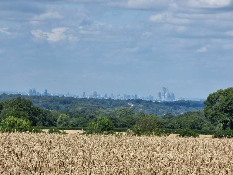 Boucle de Colley Hill & Walton Oaks depuis Reigate Hill — Surrey Hills ...