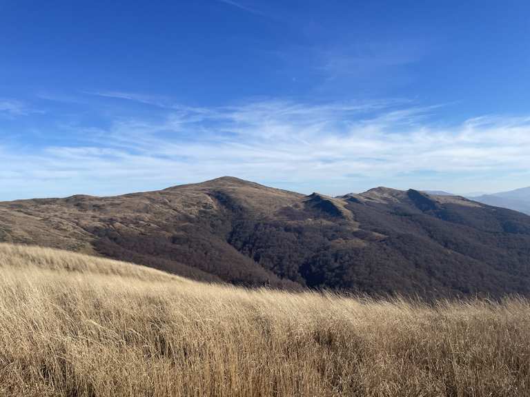 Blick auf Tarnica und Halicz: Wanderungen und Rundwege | komoot
