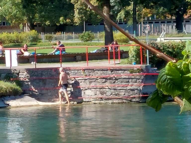Flussschwimmen in der Aare "Aareschwumm": Wanderungen und Rundwege | komoot