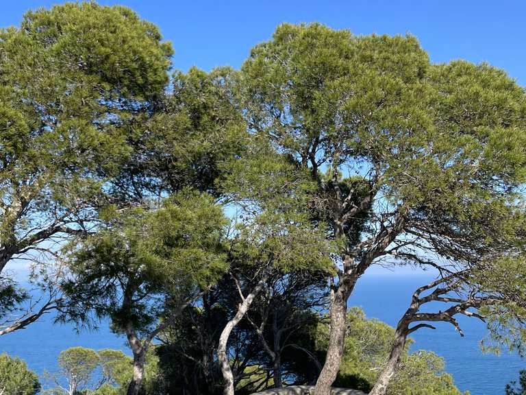 Jávea – Okrężny spacer wzdłuż Balcón del Mar do Cala Granadella ...
