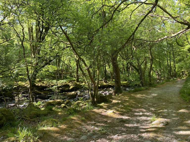 Senda del bosque de Afon Ysgethin y puente de piedra: Rutas MTB | Komoot