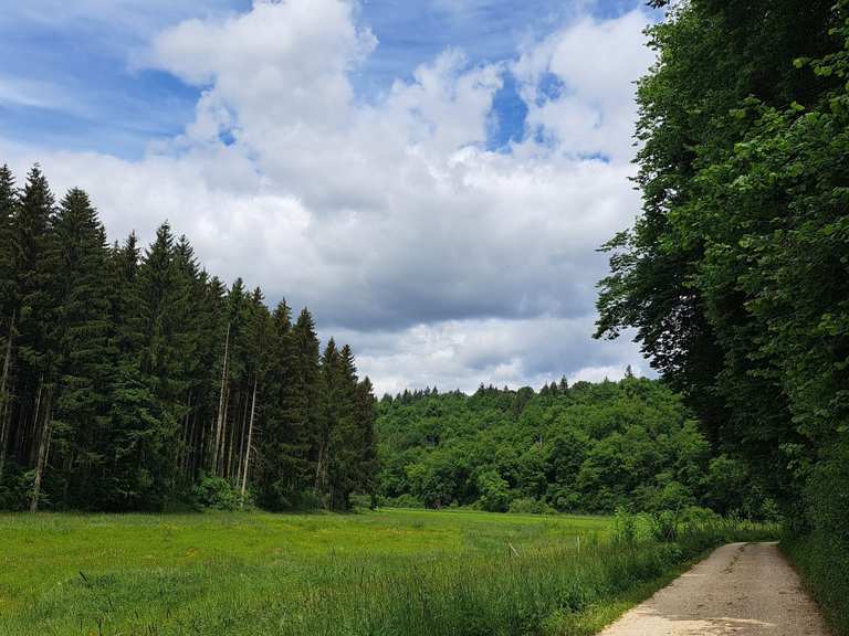 Riesenhirsch zum Klettern – Eselsburger Tal Runde von Thalfingen (b Ulm ...