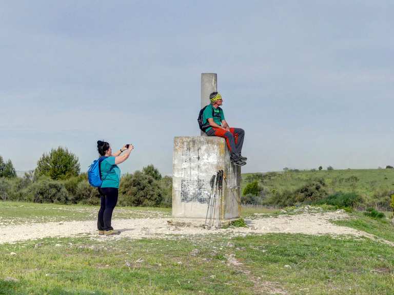 Laguna del Campillo y Parque Regional del Sureste – ruta circular desde ...