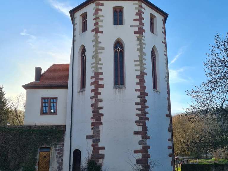 Tempelhaus Neckarelz: Wanderungen und Rundwege | komoot