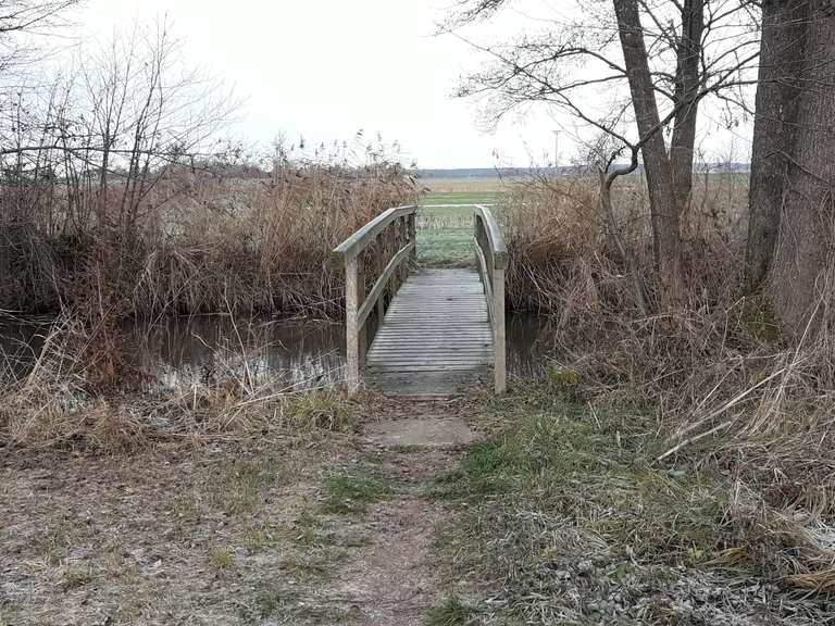 Steg über den Fluss - Routes for Walking and Hiking | Komoot