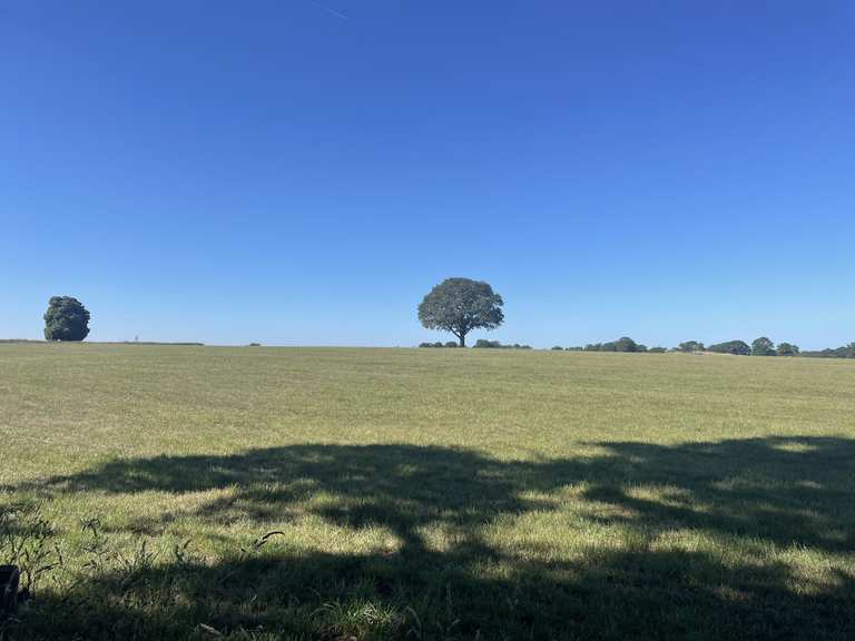 Solitaire boom: Wanderungen und Rundwege | komoot