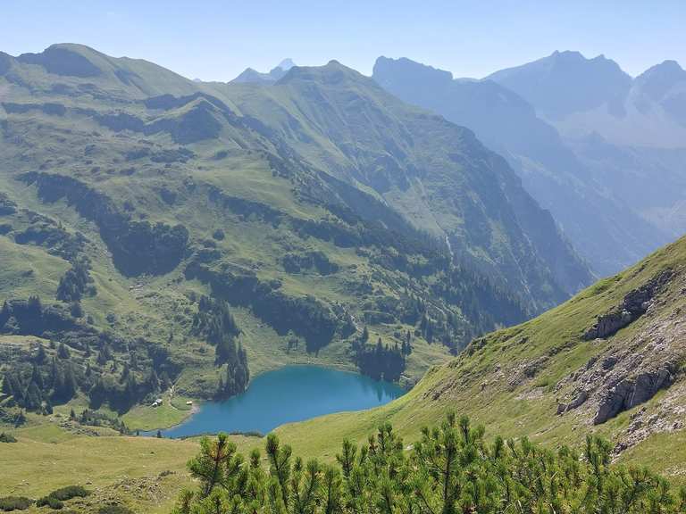 Schattenberg-Überschreitung / Gratwanderung: Touren und Karten | komoot