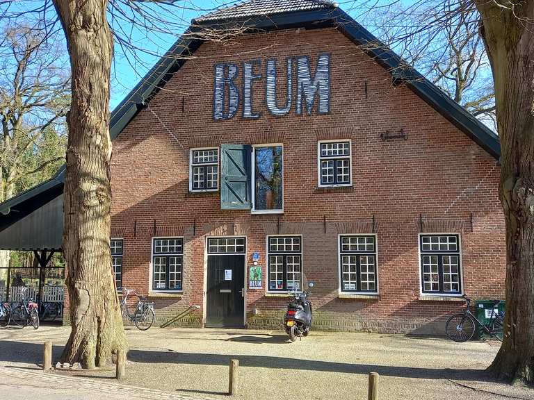 Mooi in boswachterij Dorst – Surae uitkijkplek rondtocht vanuit Dorst ...